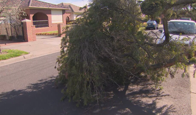 Warning damaging winds will continue for multiple states and territories