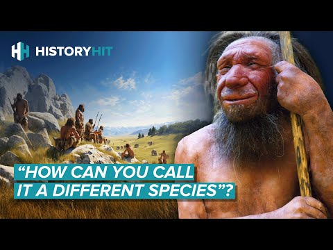 How Similar Are We To The Extinct Human Species? | With Professor Chris ...
