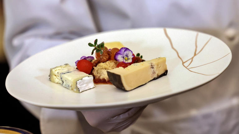 Hiding in plain cheese: Scientist shows evolution happening in real time