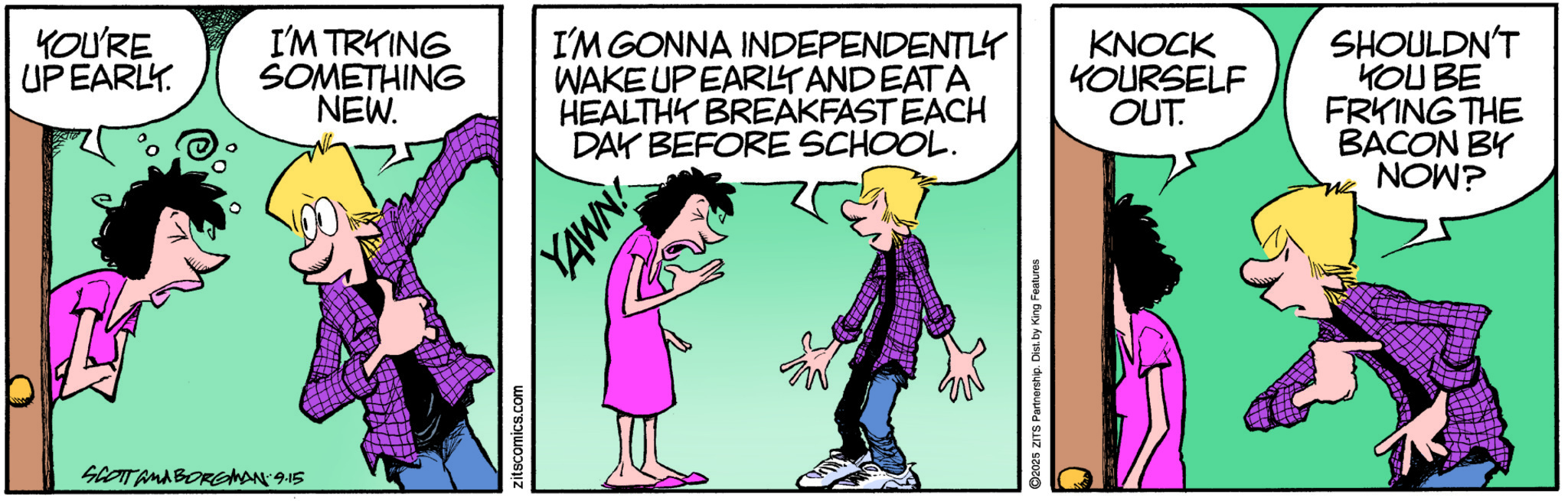 Zits by Jerry Scott and Jim Borgman