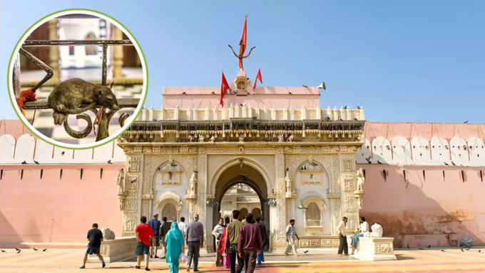 Navratri 2025: 8 Famous Maa Durga Temples to Visit Across India