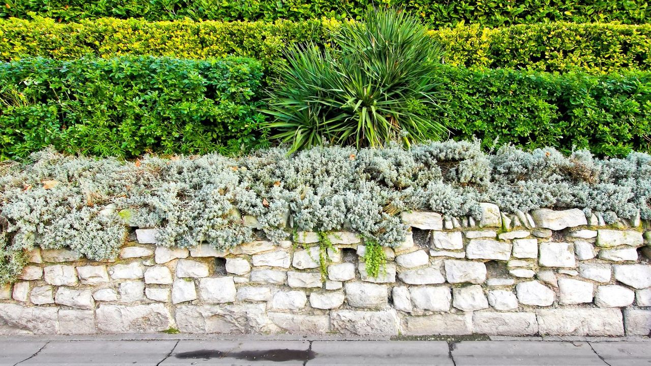 Do I own a retaining wall? Here’s how to find out —and avoid ...