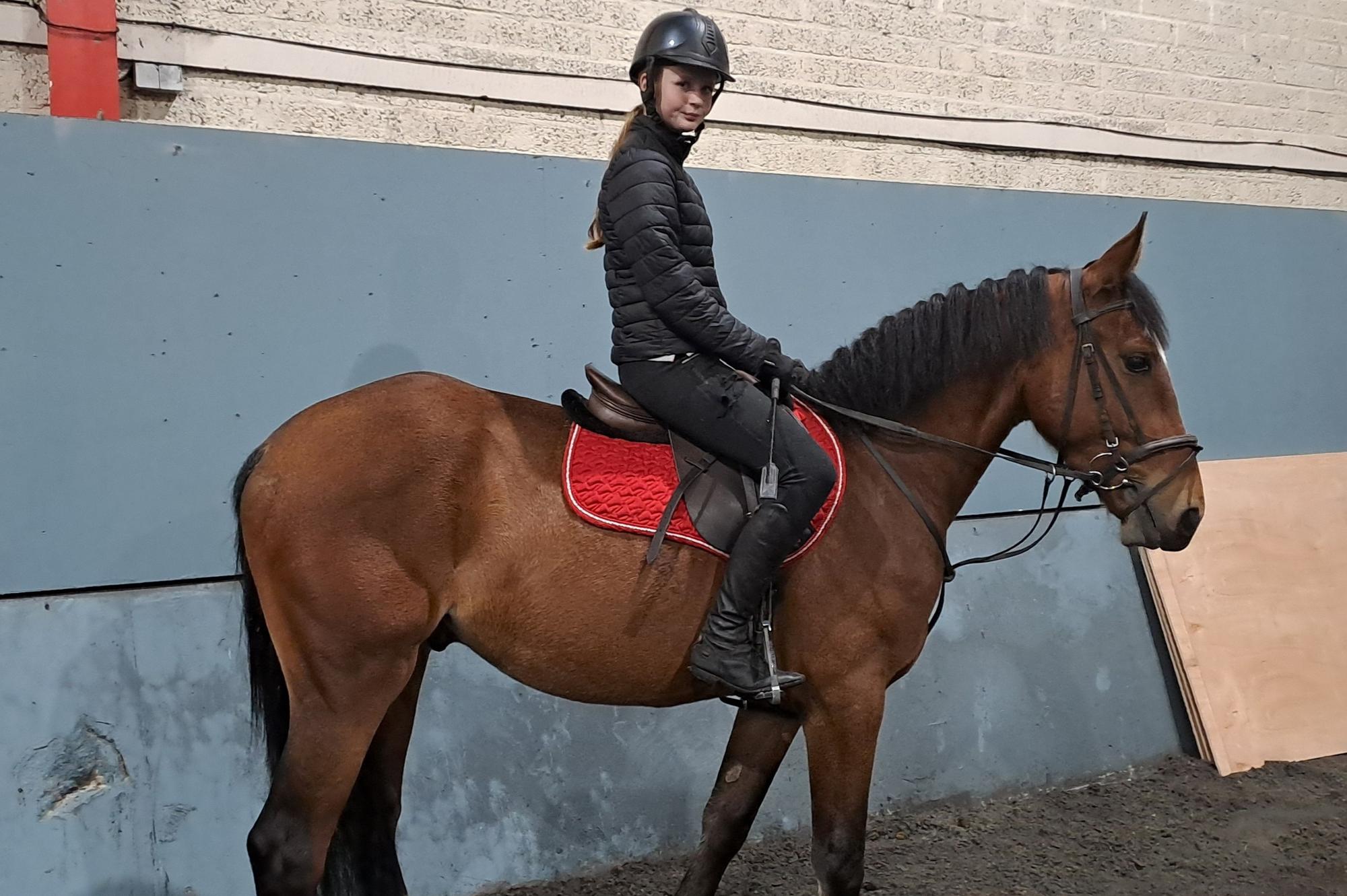 Horse Week: Record breaking entries at Ecclesville!