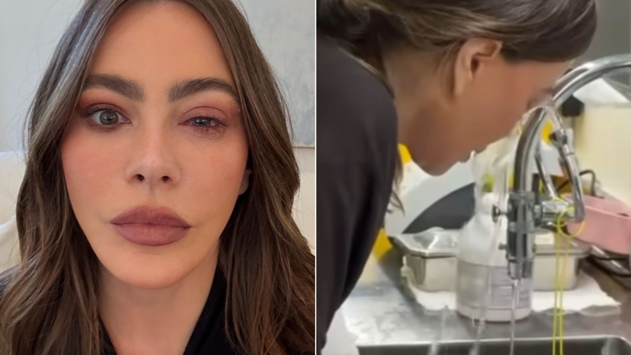 Emmy Awards 2025: Sofia Vergara Skips Event Due To THIS Reason 'Right ...