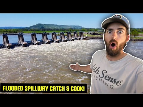 Massive flooded spillway yields powerful river fish catch