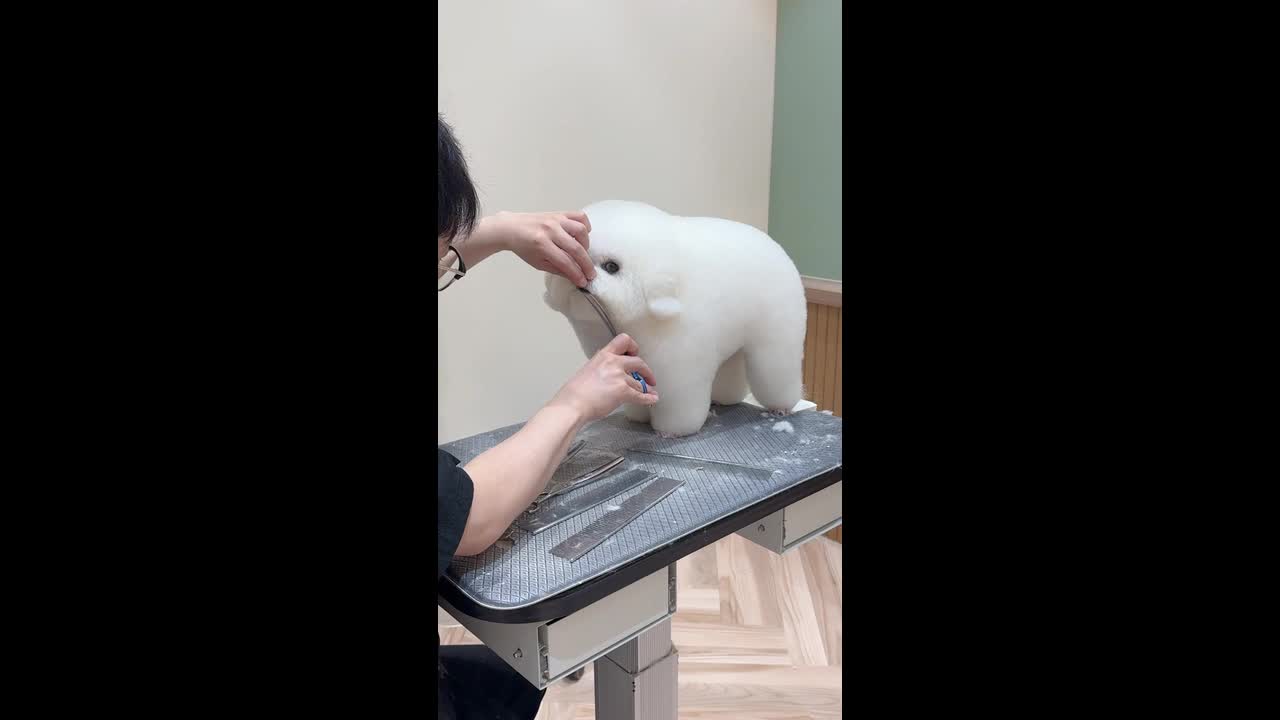 Meet Milk, the cloud-like pooch who loves getting his haircut and has ...