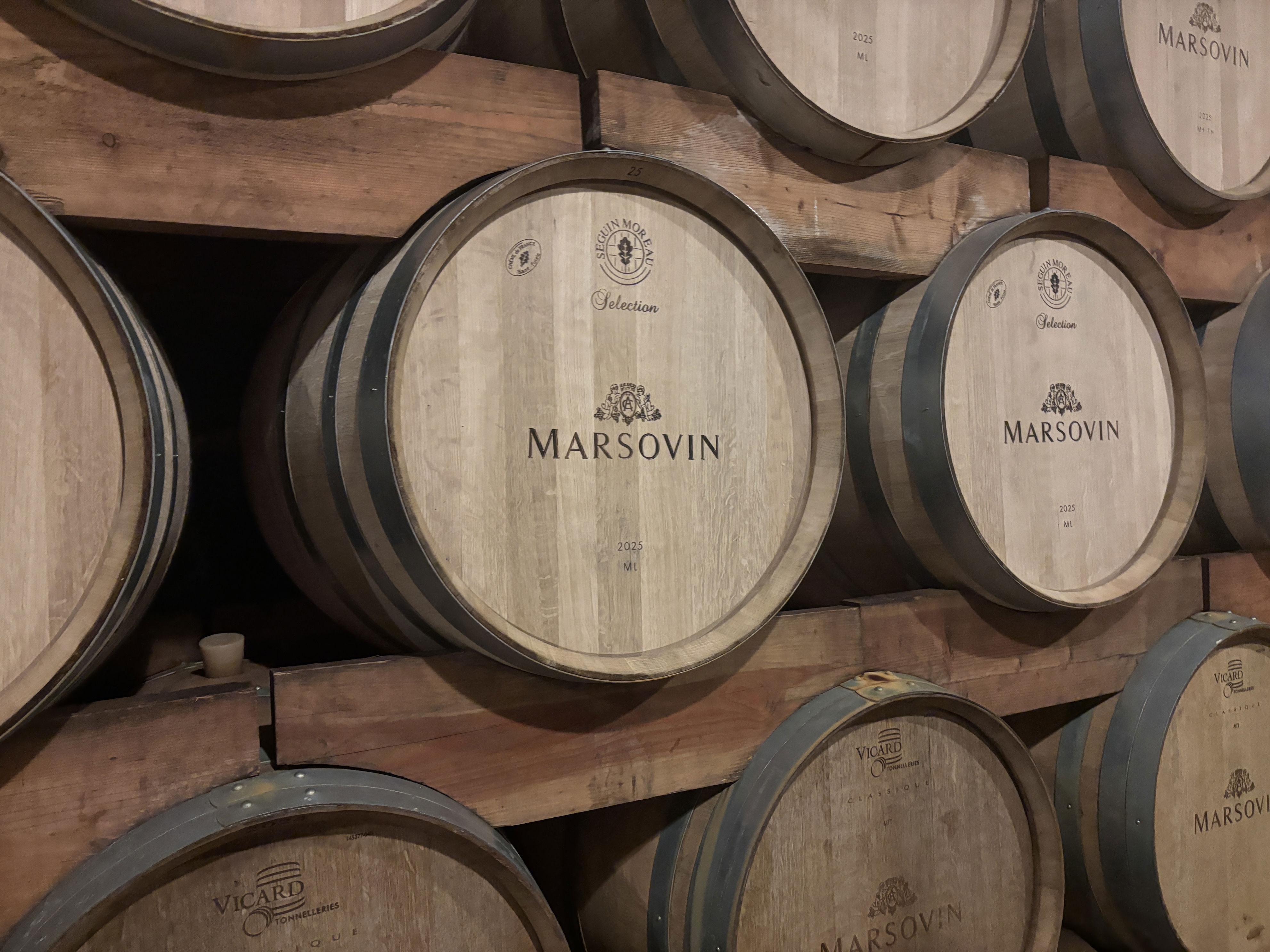 Inside Marsovin Cellars: Malta’s most iconic winery experience