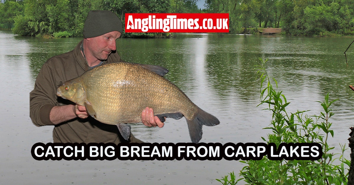 How to catch big bream on carp lakes