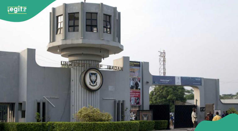 UI and UNILAG shine in 2026 Times Higher Education rankings