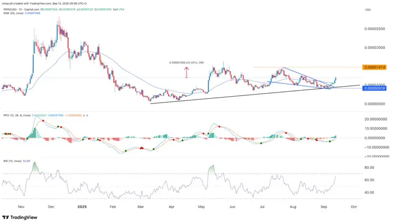 Floki Inu and Pepe Coin Prices Explode But Ethereum Whales Are Going ...
