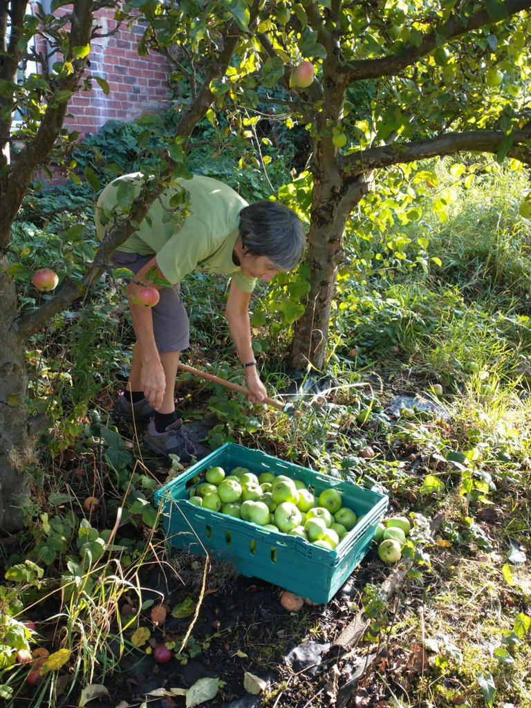 Horsforth Climate Action hosts Green Festival to celebrate three years ...