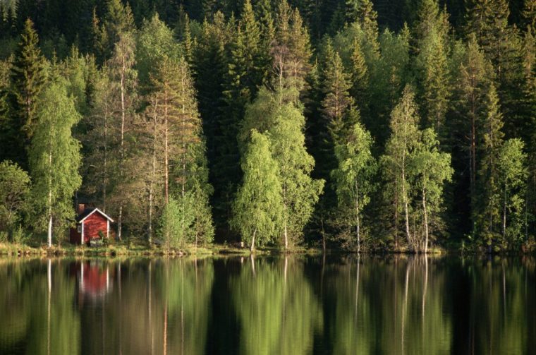 I travelled 1,000km by train to find the secret to Finland’s happiness