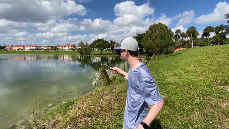 Forgotten Fishing Rod Turns Into Fish Rescue Mission
