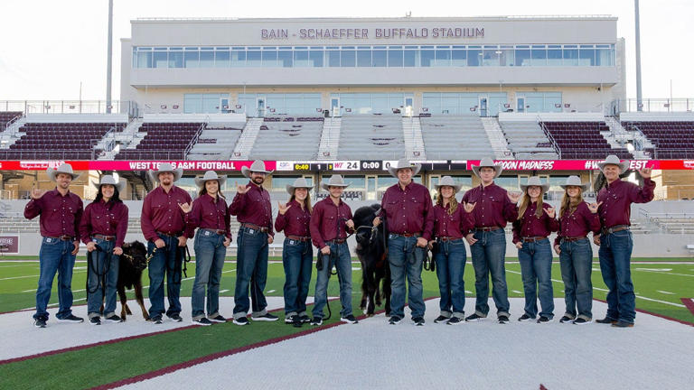 Meet Sally, the new WTAMU Buffalo mascot