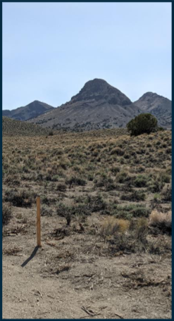 Astute Metals NL Drilling of Gold-Silver Targets Commences at Needles Project