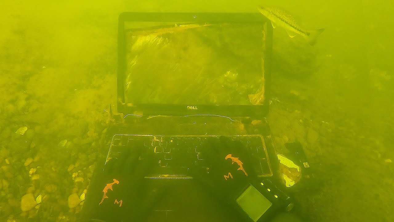 Found a Stolen Laptop Underwater While Scuba Diving