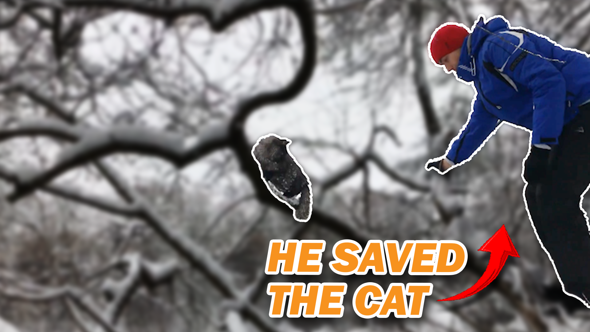 Heartwarming Animal Rescue