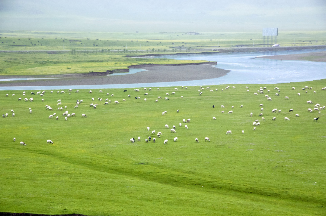 Rip Haywire by Dan Thompson