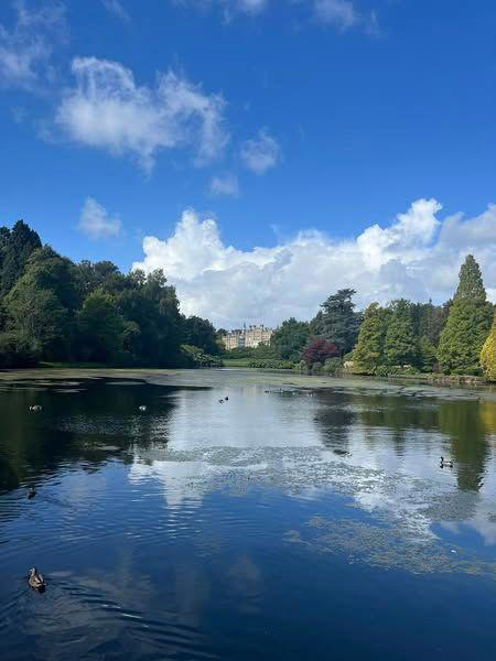 Uckfield care home embraces the seasonal changes