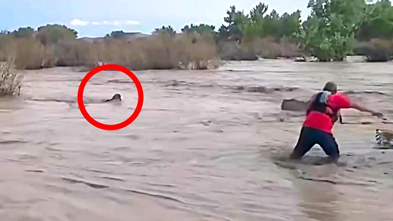 Utah man survives powerful flash flood thanks to dramatic rescue