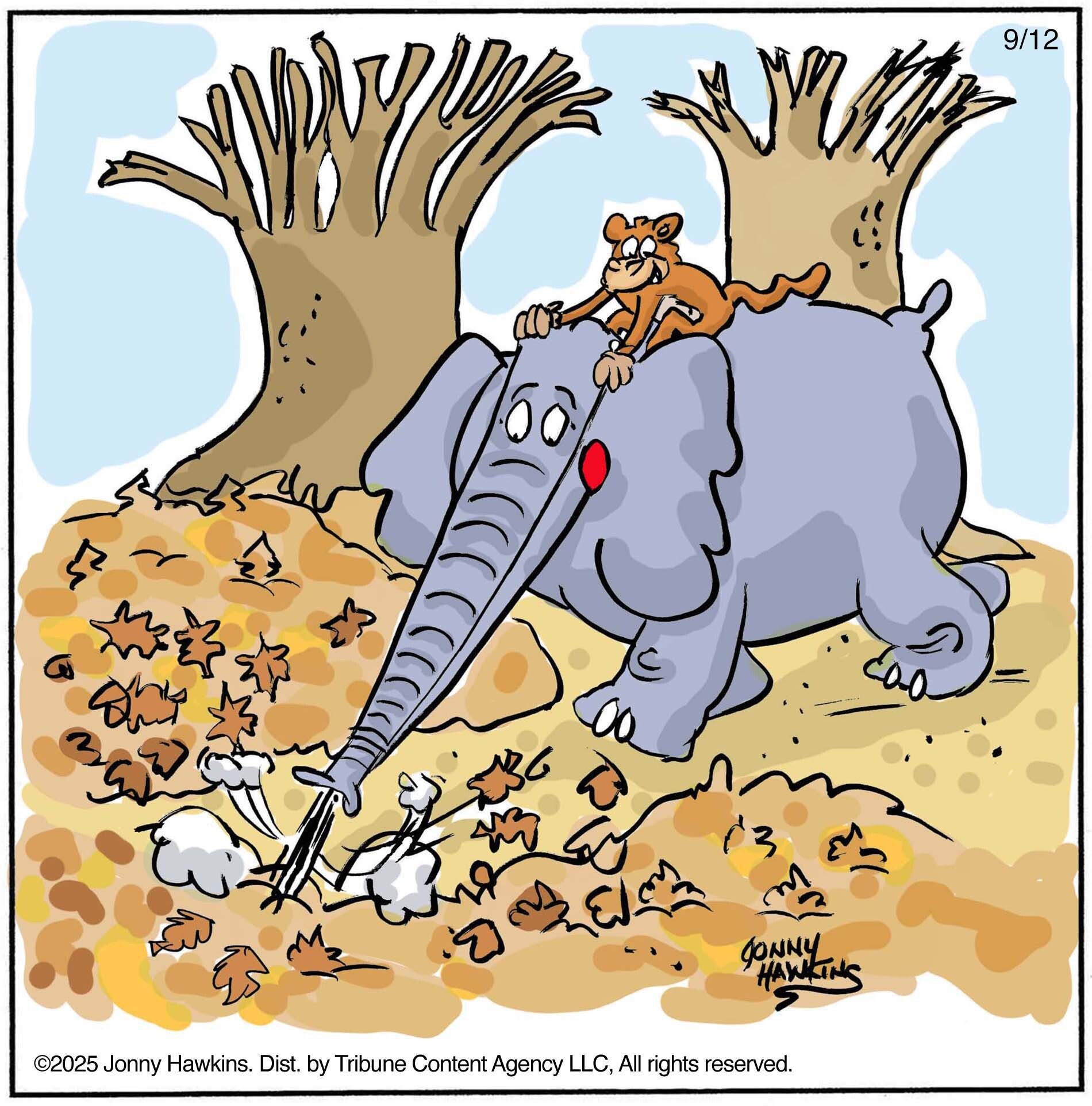 Zoolies by Jonny Hawkins