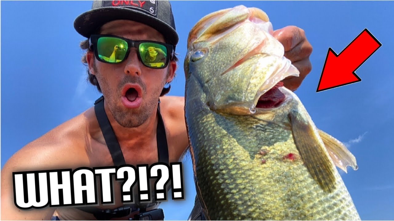 Ultimate surprise catch while fishing sparks excitement