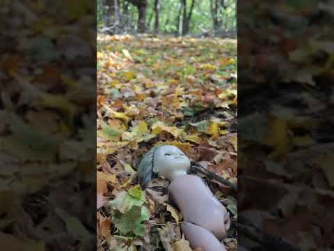 How to survive 72 hours inside Chernobyl safely