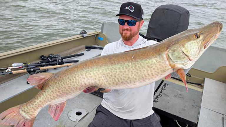 Giant Wisconsin Muskie Sets New State Record: But How Long Before It’s ...