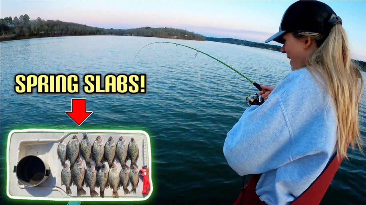 Hidden brushpiles reveal slab crappie for beer battered cook