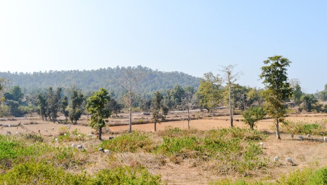 Officials see incredible results after asking humans to move out of ...