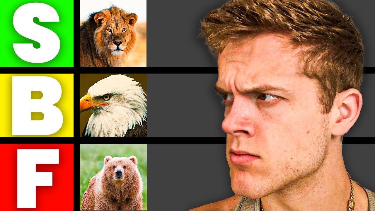 What animals could I beat in a fight?