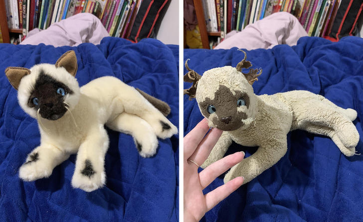 17 “Before” Photos That Seem to Have Nothing to Do With “After” Photos