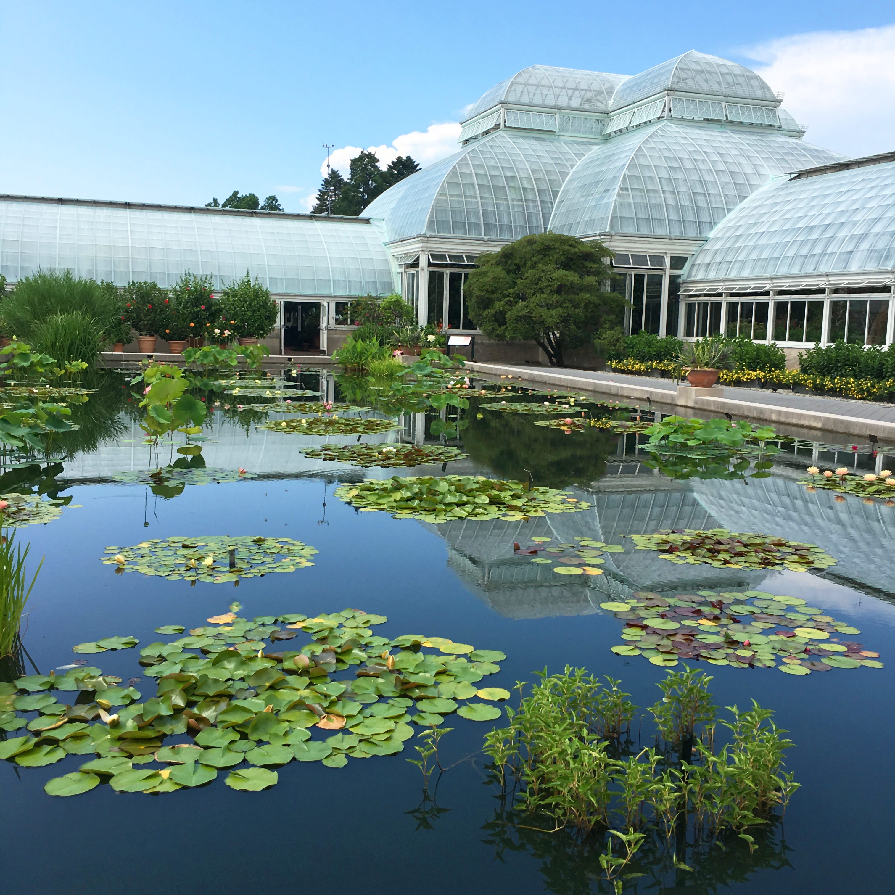 See inside the New York Botanical Gardens. New York's 'most beautiful ...