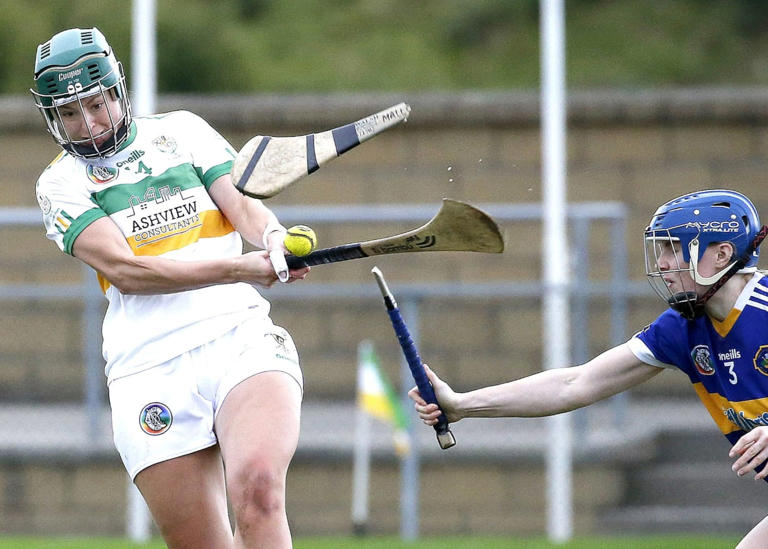 Mallon gives Portaferry home advantage in Down camogie championship ...