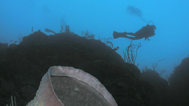 Strange seafloor rings found around 500,000 mystery barrels