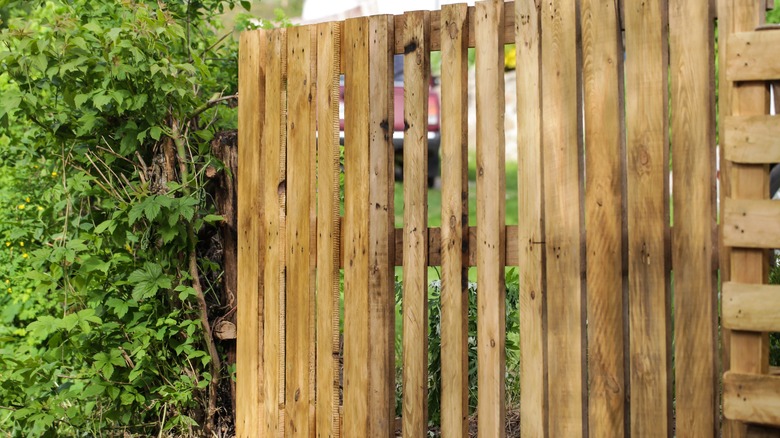 10 Items You Can Repurpose Into A Stylish Privacy Screen