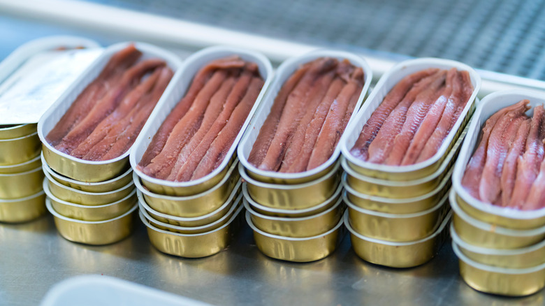 The Ultimate Guide To Anchovies