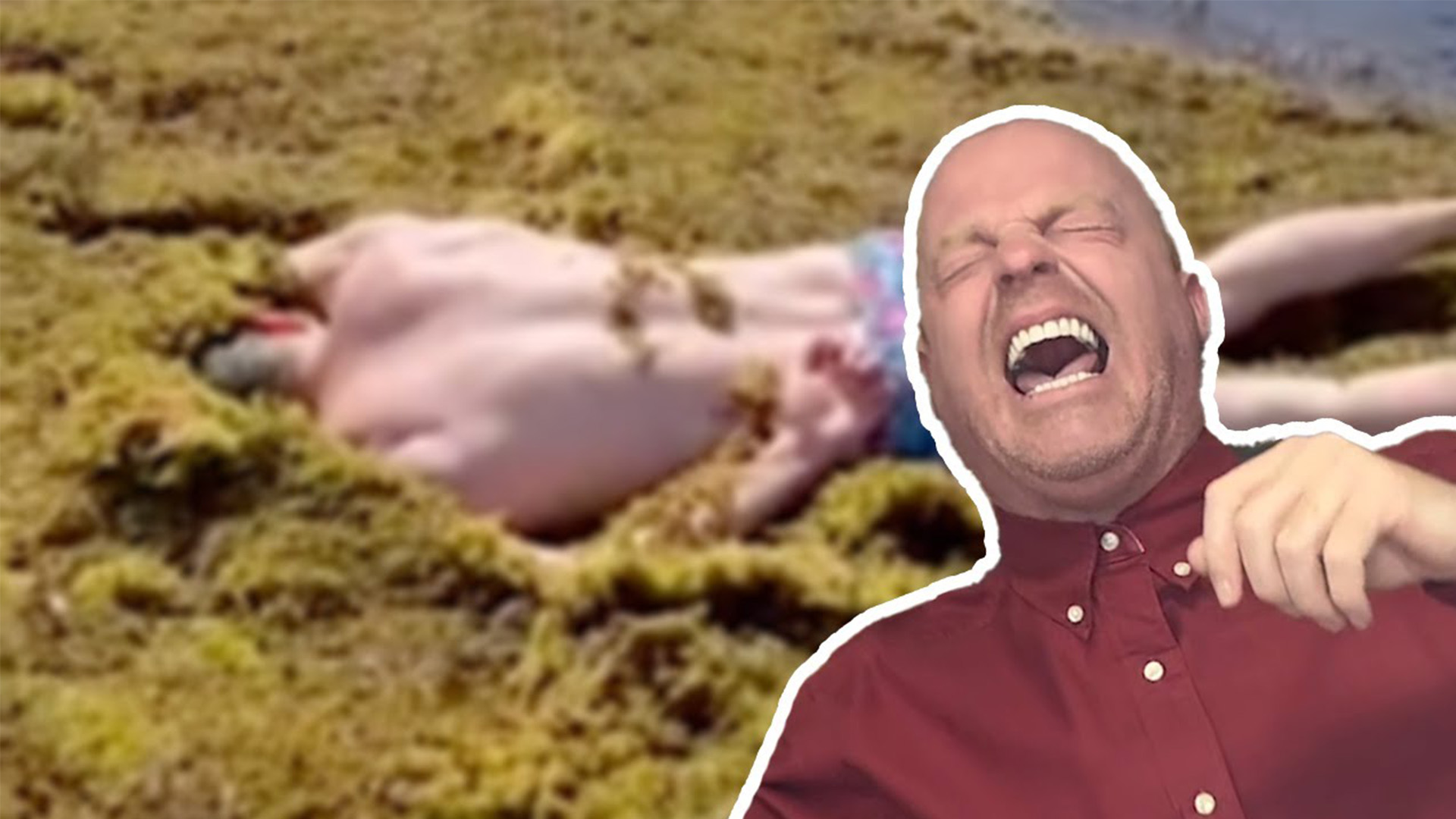 Swamp Man Had Me Laughing More Than I Expected