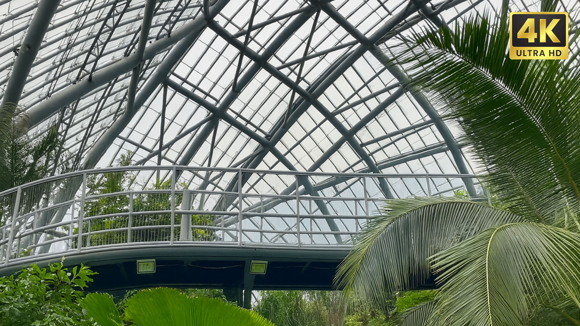 China’s Modern Indoor Forest Design – China 4K