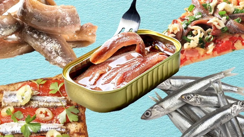 The Ultimate Guide To Anchovies