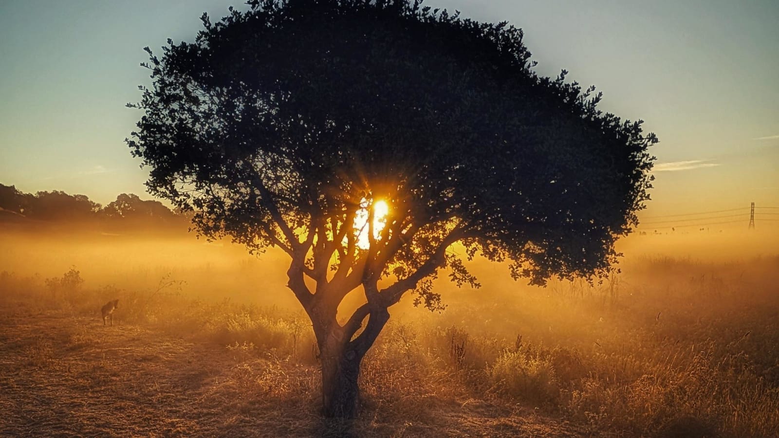 First Day of Fall 2025: 8 Fun Facts About the Autumnal Equinox on ...