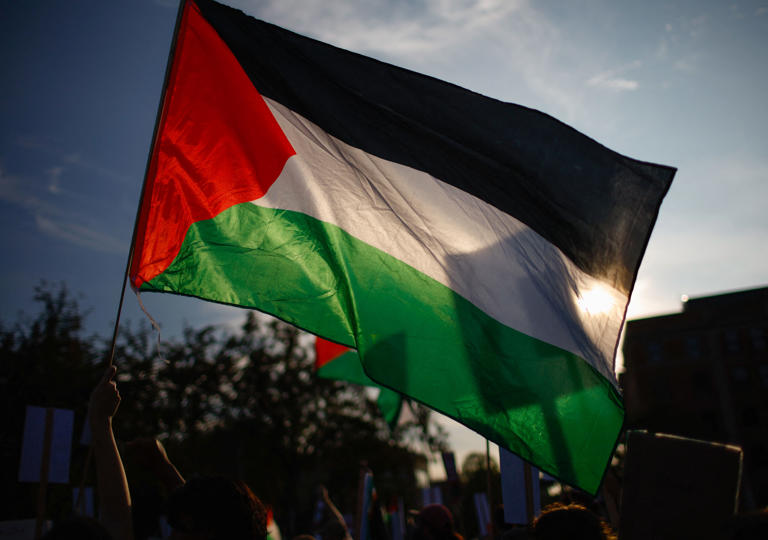 The countries that still don't recognise Palestine as a state - mapped