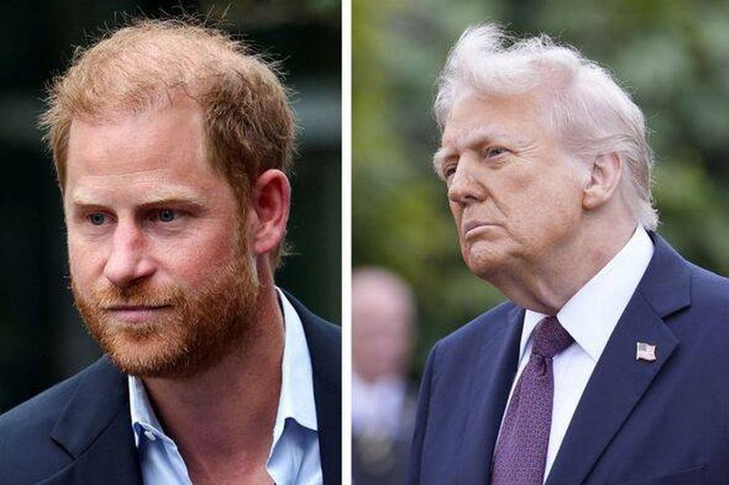 Prince Harry 'feeling pangs of exile' after Donald Trump's 'clear snub ...