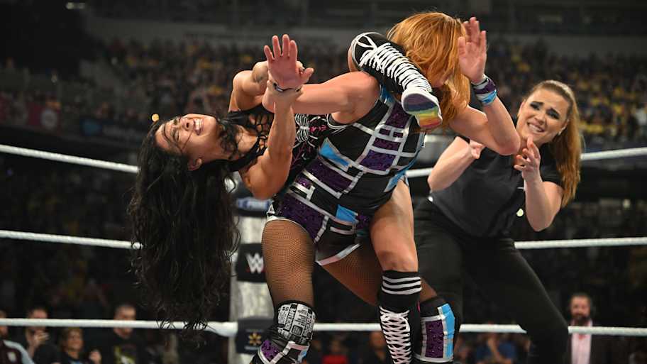 The Biggest Winner Of WWE Wrestlepalooza Wasn't AJ Lee Or Brock Lesnar