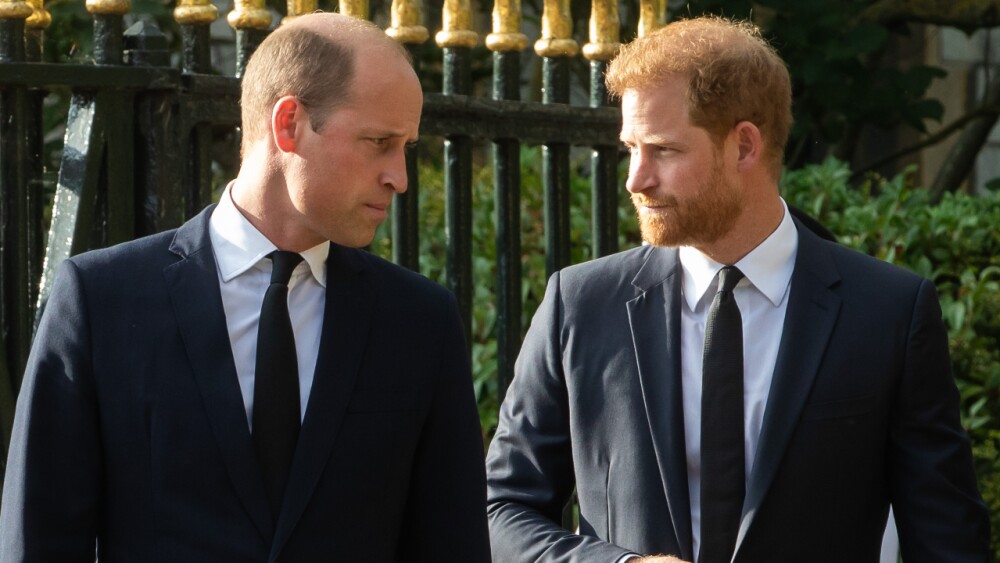 La tradición real que separó a William y Harry cuando eran niños