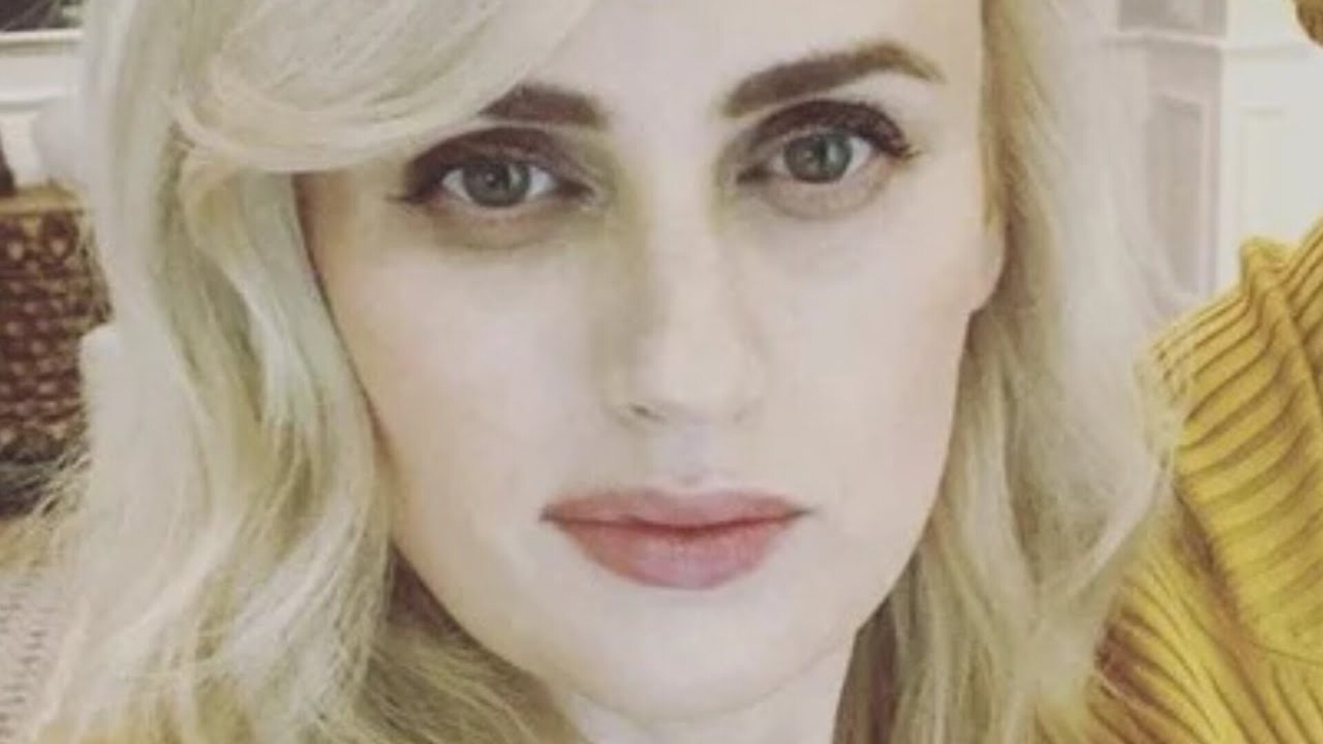 What You Never Knew About Rebel Wilson