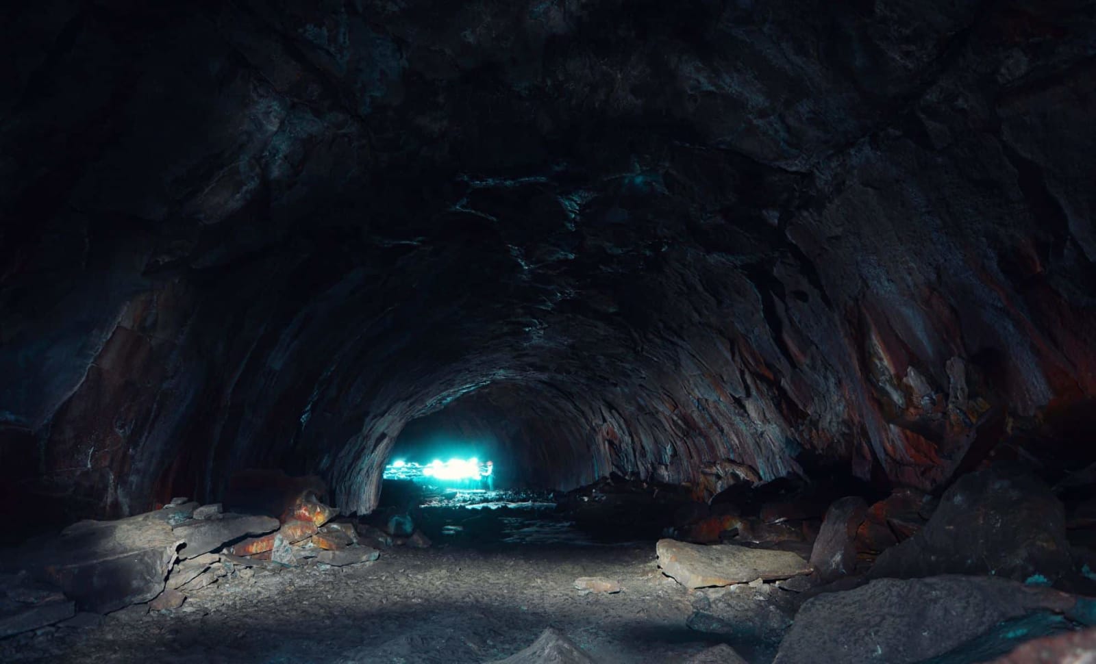 Scientists Stunned by Tiny Fossil Shark Found Deep Inside World’s ...