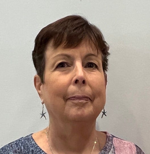 Meet the candidates: Surf City Town Council