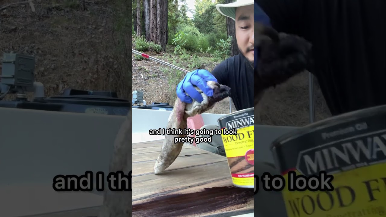 Staining the old wood. I think it looks much better!