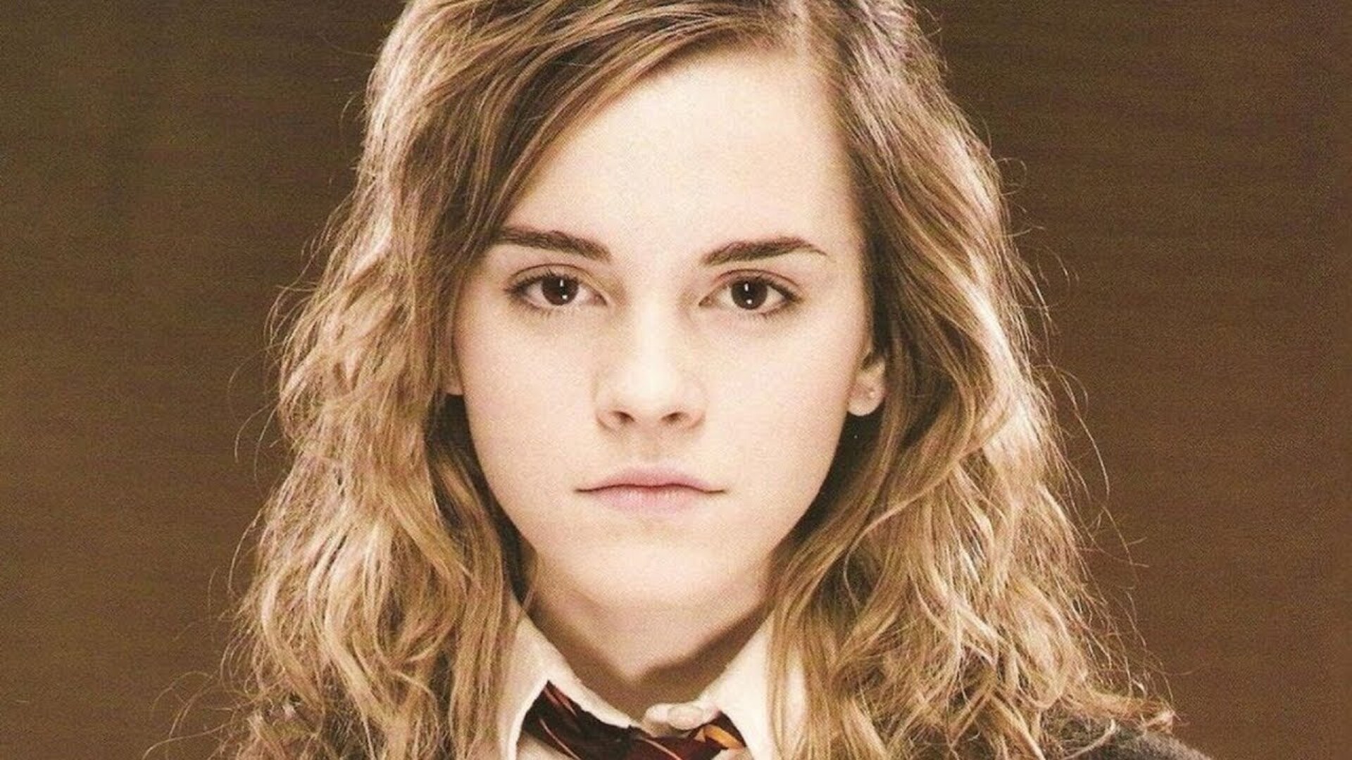 Hermione Granger theories Harry Potter fans can't get over